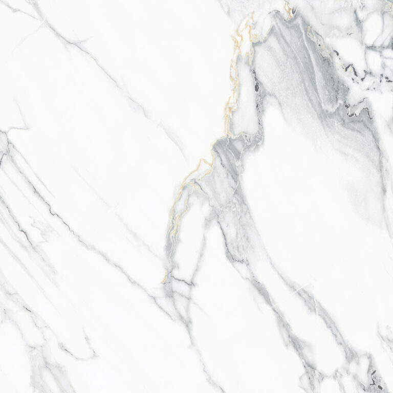 XGVT-6699 - X Ceramics Group